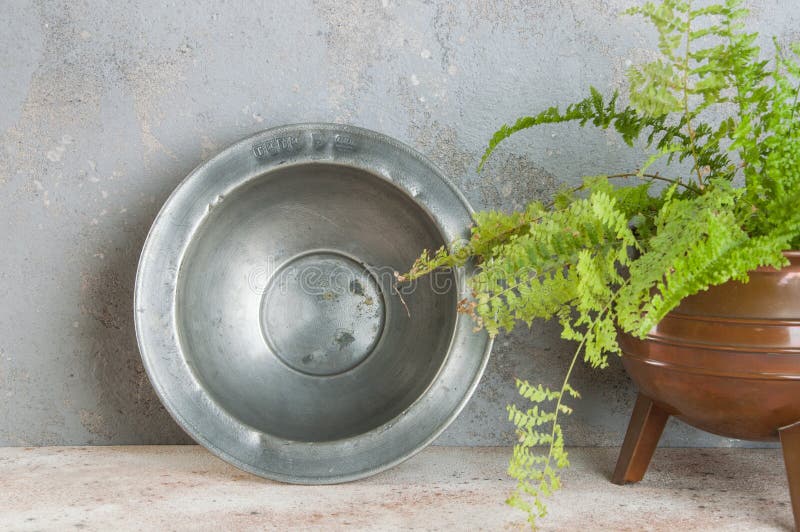 Old Pewter Bowl and Green Plant Stock Photo - Image of flower, props ...