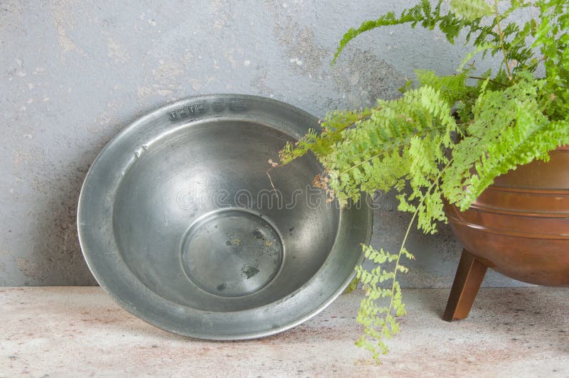 Old Pewter Bowl and Green Plant Stock Photo - Image of horizontal ...