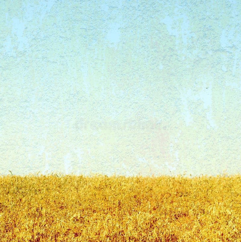 Old photo landscape stock photo. Image of field, green - 22360206