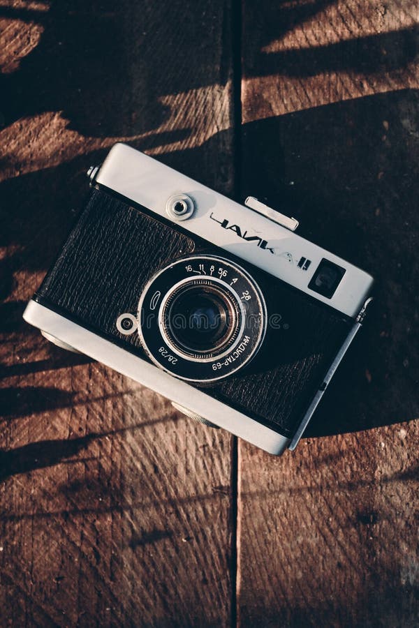 Chayka editorial stock photo. Image of mornig, chayka - 155209603