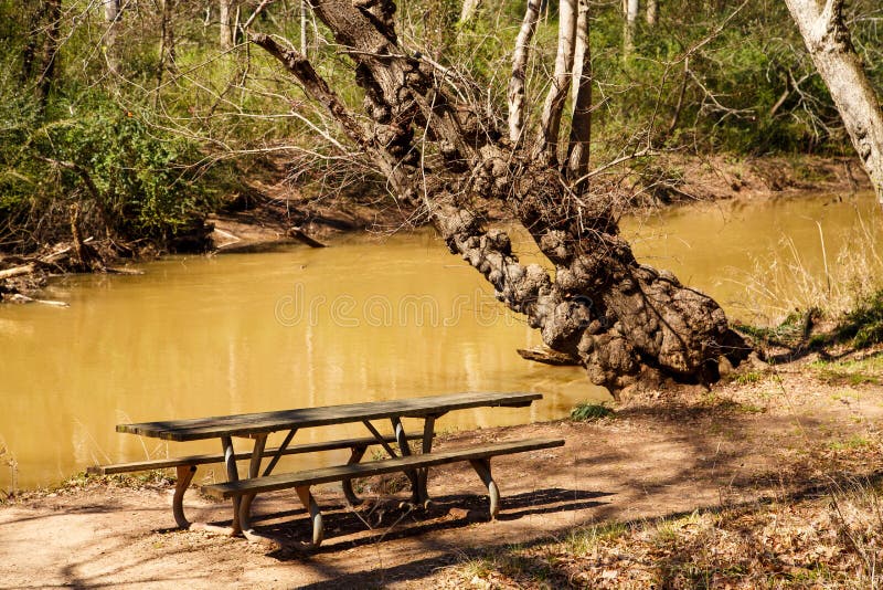 Old Picnic Table by Muddy River Stock Photo - Image of muddy, winter ...