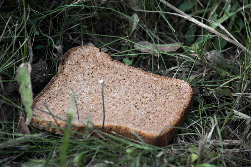 An Old Piece of Cheap Bread Lying Around in the Grass Stock Photo ...