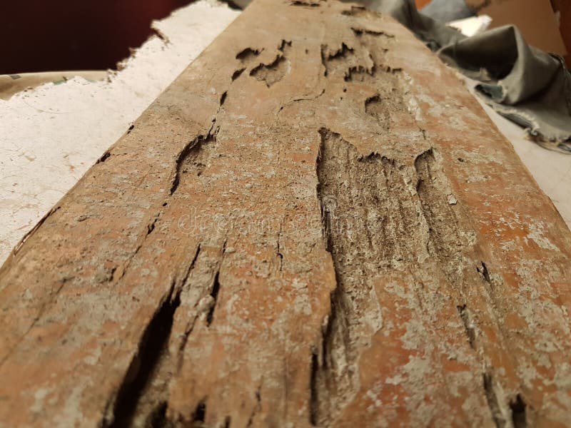 Old piece of wood stock photo. Image of wood, piece, plank - 90438926