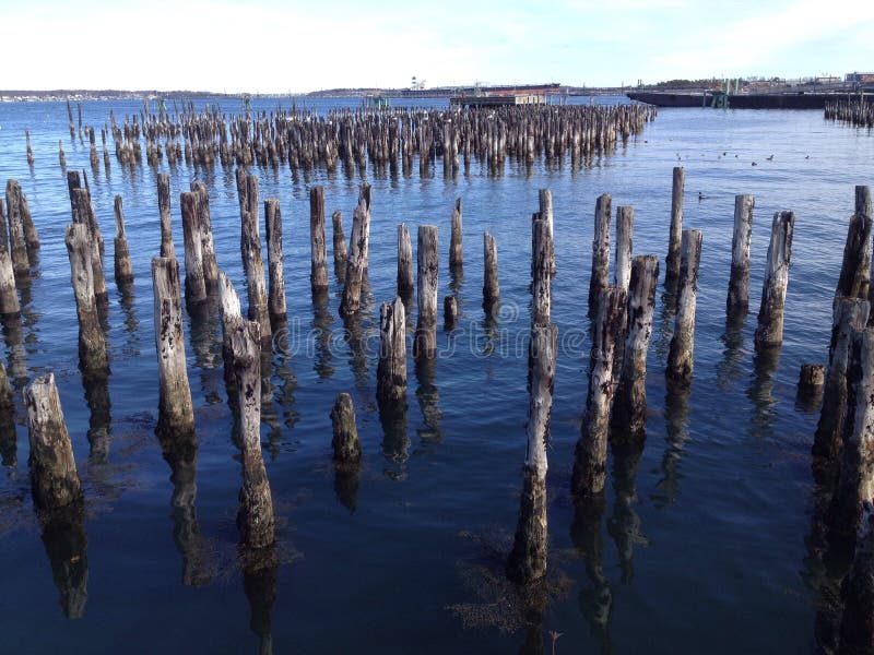 Old pier pilings stock photo. Image of harbor, water - 55750480
