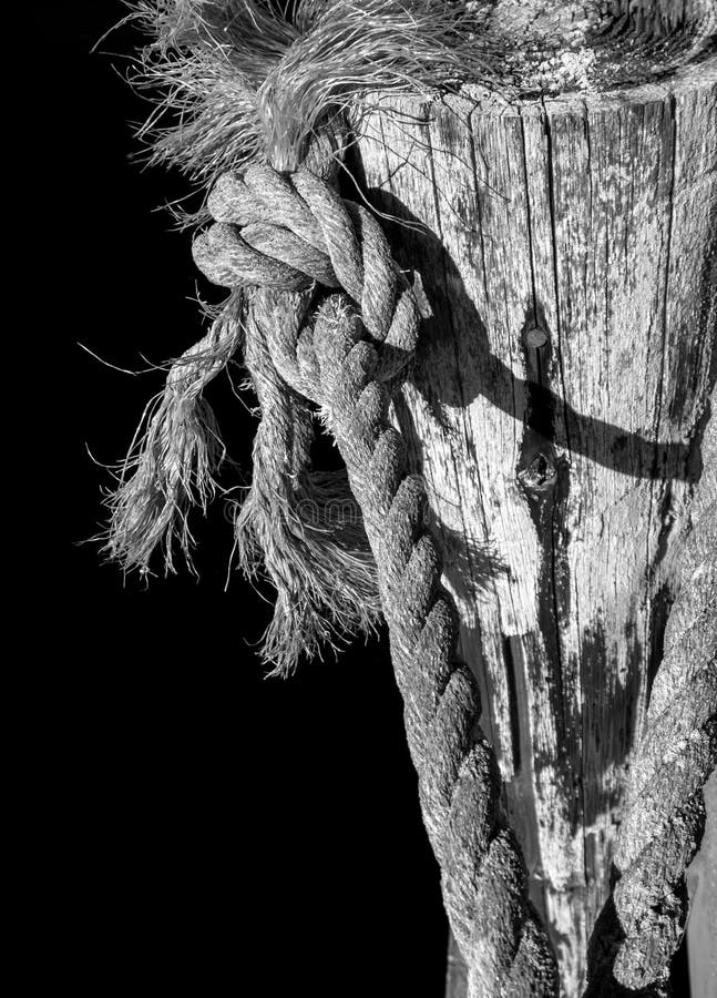 Old pier post and rope stock photo. Image of knotted - 137786238