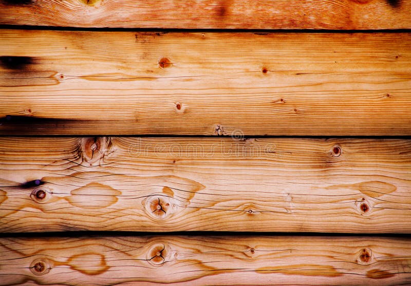 Old pine boards stock image. Image of fibres, flora, fence - 14296191