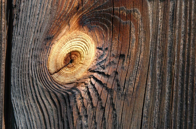 Old pine plank stock photo. Image of build, yellow, design - 1108902