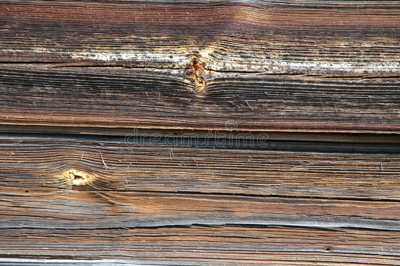 Old pine planks stock image. Image of patterned, background - 1109807