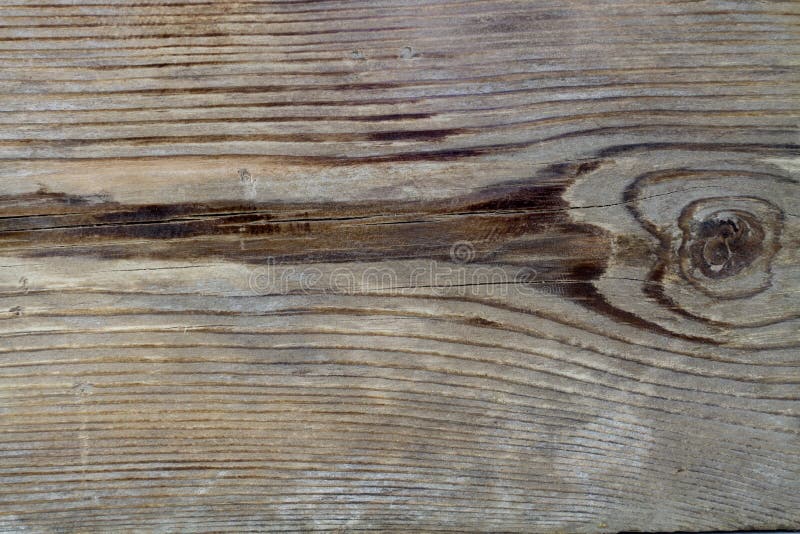 Old Pine Wood Grain Texture Stock Image - Image of nature, surface ...