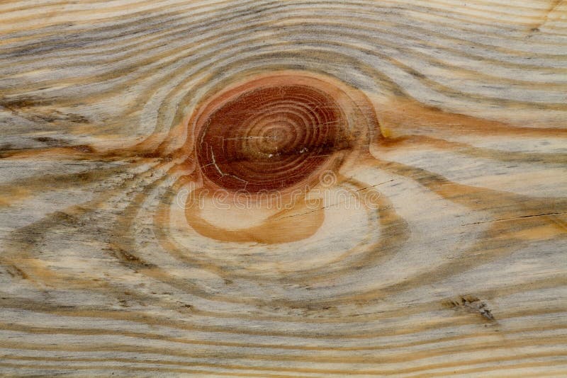 Old Pine Wood Grain Texture Stock Photo - Image of decor, panel: 48372846