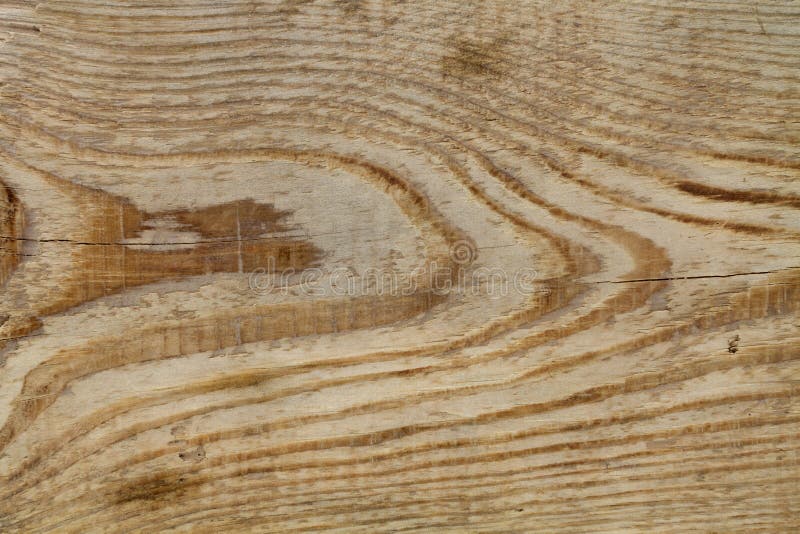 Old Pine Wood Grain Texture Stock Photo - Image of panel, dark: 48373204