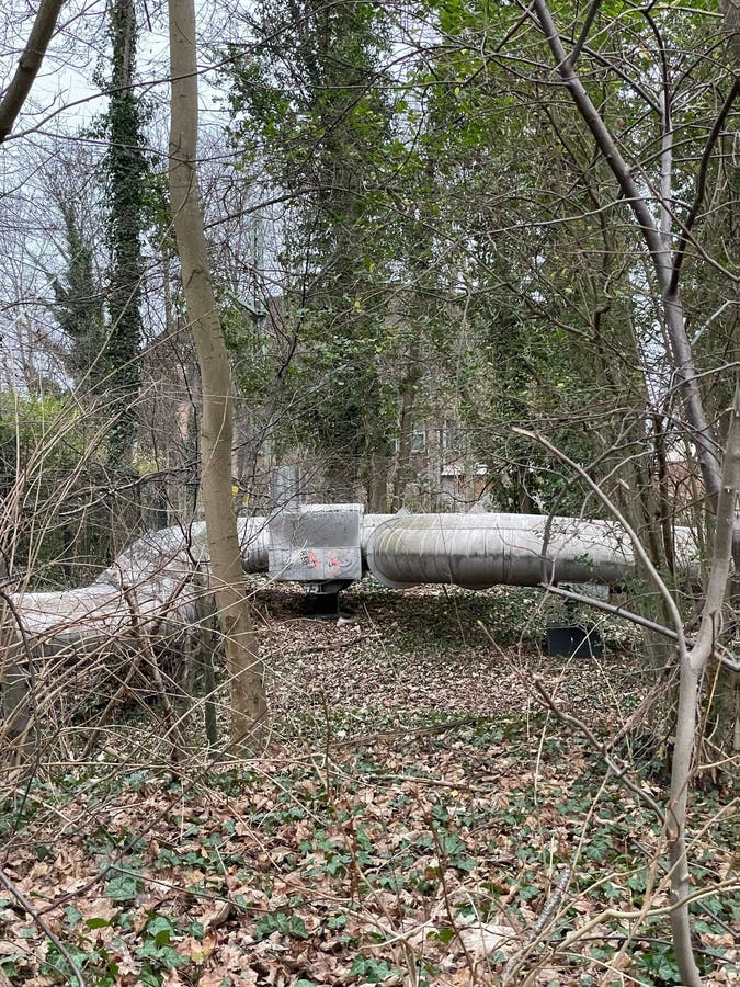 Old Pipe Situated in a Densely Forested Area Surrounded by Lush ...