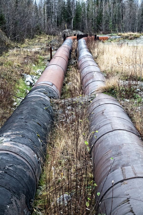 Old pipeline in the forest stock photo. Image of fueling - 229159324