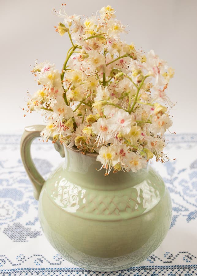 Old Pitcher with Flowers of Chestnut Stock Photo - Image of petals ...