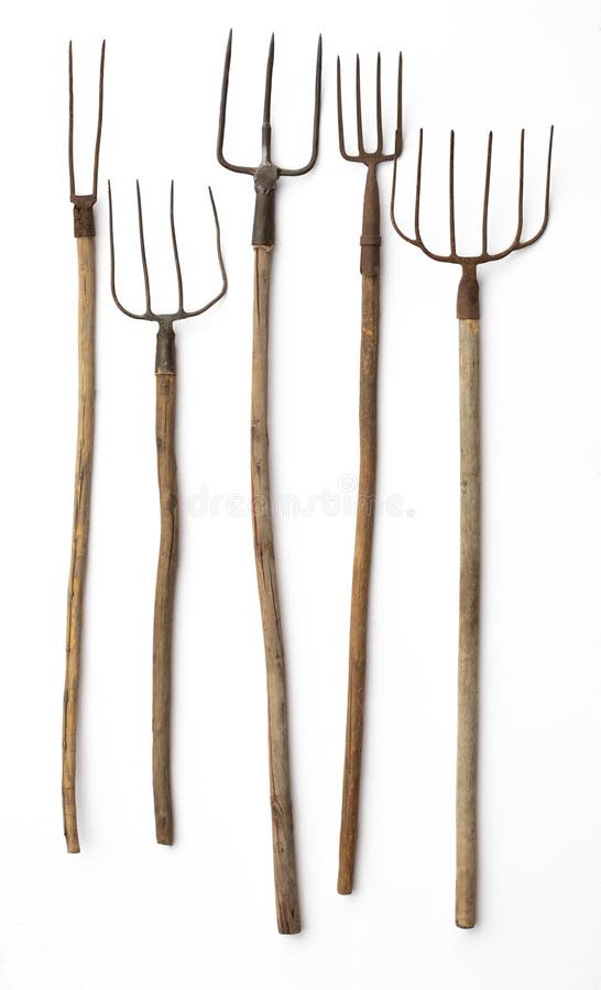 Old Pitchfork and Rake Isolated on White Stock Image - Image of rustic ...