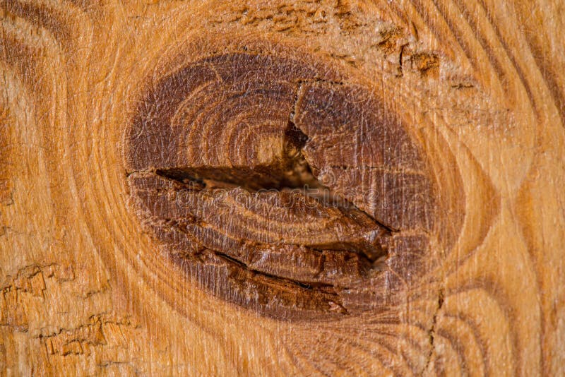 Old Plank with Crack and Knothole Stock Photo - Image of weathered ...