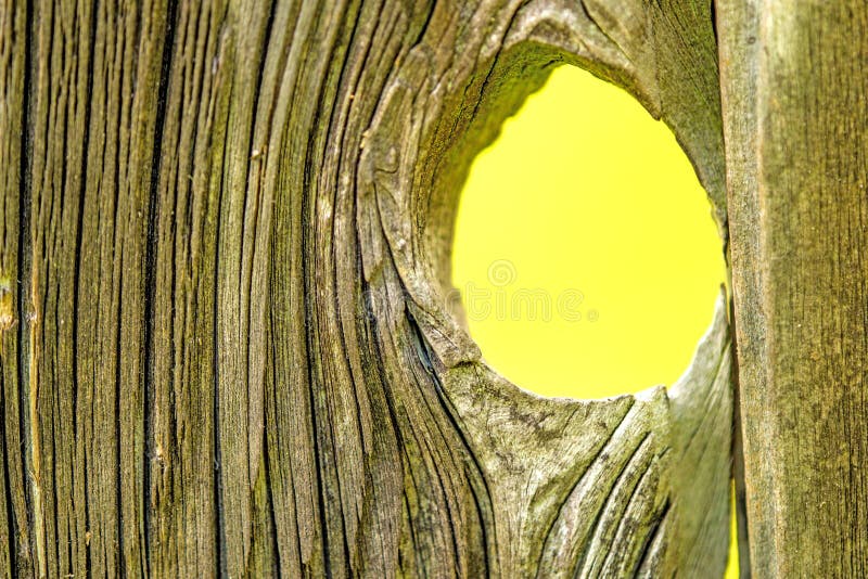 Yellow Hole Pattern Horizontal Stock Photo - Image of surfaces, farm ...