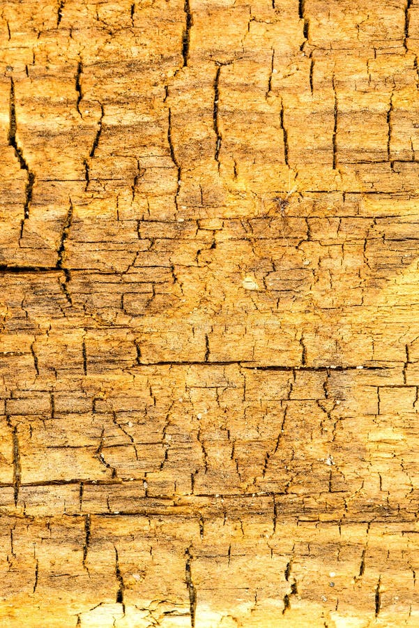 Old plank with texture stock photo. Image of wall, antique - 96245994