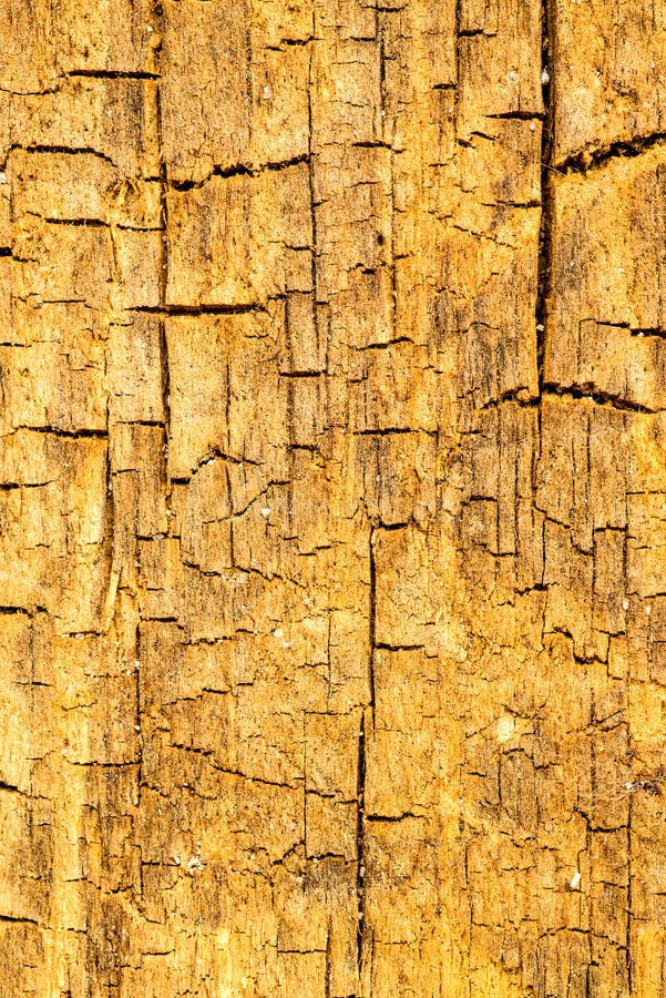 Old plank with texture stock photo. Image of structure - 96246790