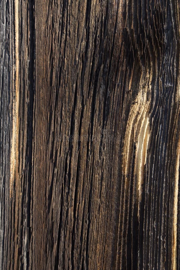 Old plank stock image. Image of ceiling, flooring, grunge - 66487921