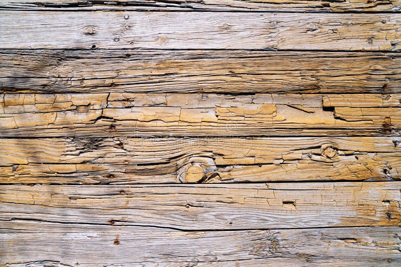 Old Plank Wood Flooring with Texture and Wear. Scuffing and Rotting ...
