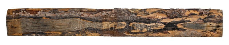 Old plank of wood stock image. Image of weathered, board - 272534873