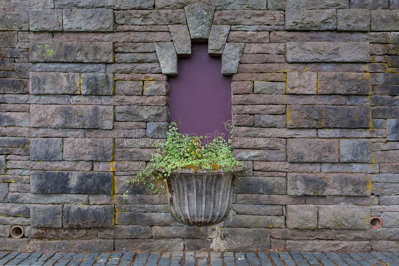 Old Planter on Stone Wall stock photo. Image of walkway - 92603562
