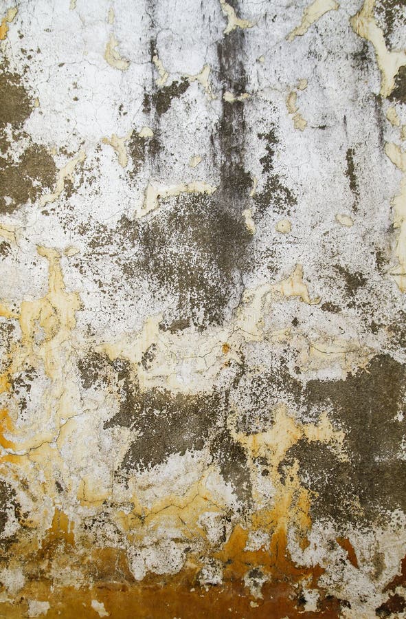966 Old Scraped Plaster Wall Stock Photos - Free & Royalty-Free Stock ...