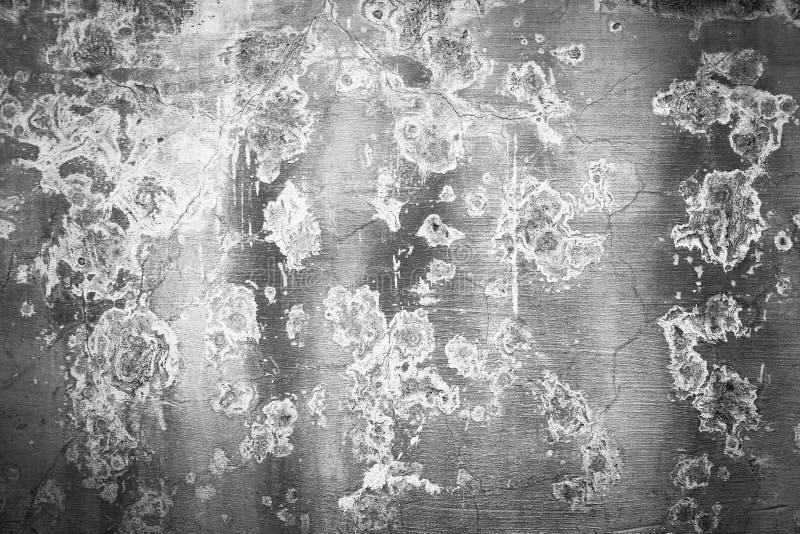 Old plaster wall stock photo. Image of dirty, aging, clay - 54582080