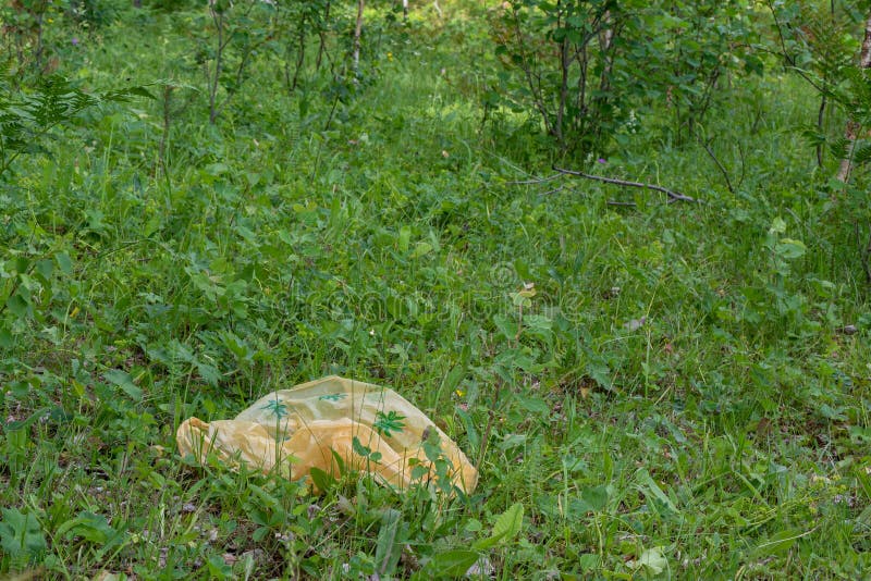 Old Plastic Bag, Trash Thrown on Grass. Clean Planet Earth, Collect ...