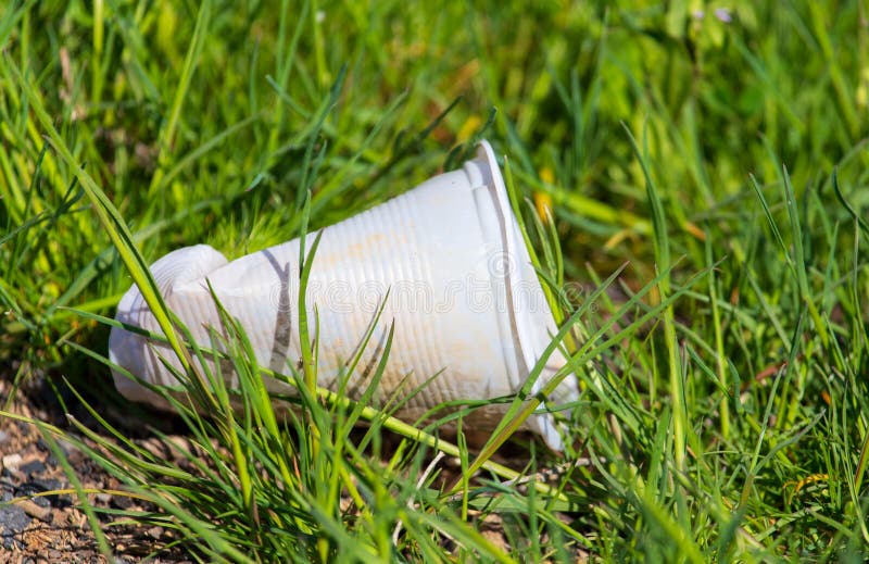 Old Plastic Cup in the Grass As Trash Stock Photo - Image of bottle ...