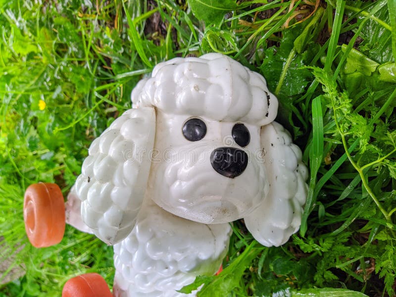 Old and Plastic Toy in the Form of a White Poodle on the Grass Stock ...