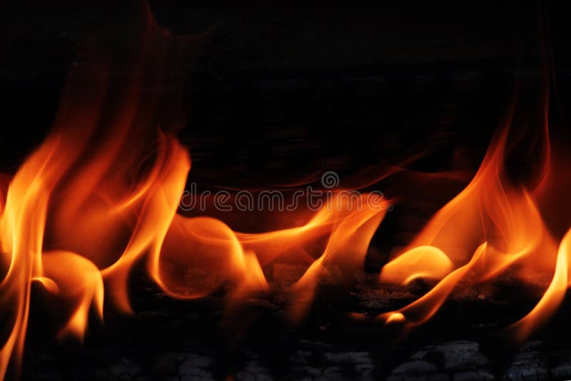 Old Plywood Beautifully Burns in the Fire with the Formation of Texture ...