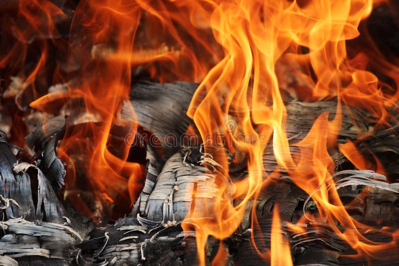 Old Plywood Beautifully Burns in the Fire with the Formation of Texture ...