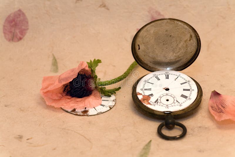 Old pocket watch and poppy stock image. Image of green - 25108487