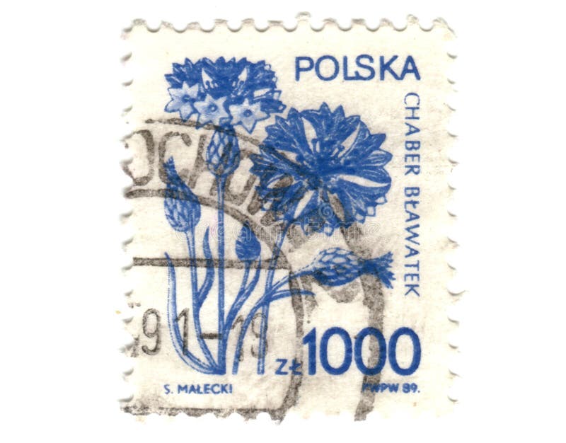 Old Polish Stamp with Flower Editorial Stock Image - Image of orchid ...