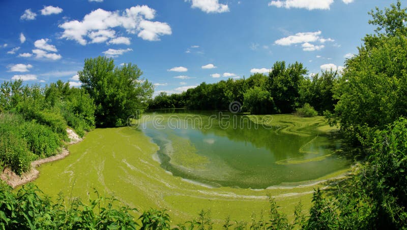 Old Pond Picture. Image: 7860784