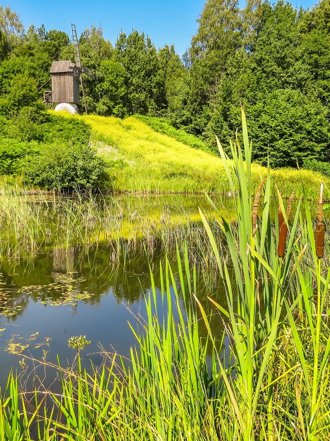 Old Pond in Estonian Countryside Stock Image - Image of scenery ...