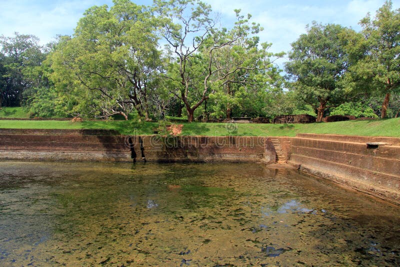 Old pond stock photo. Image of lanka, green, brick, ruins - 39611518
