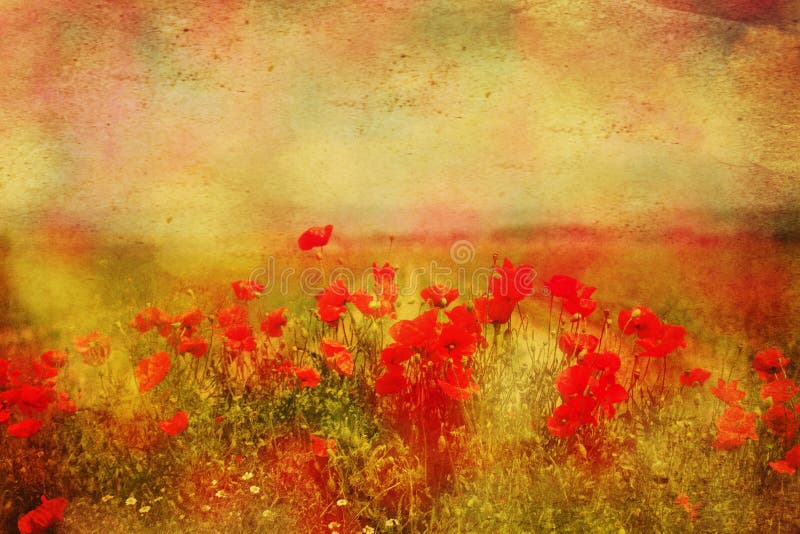 Old poppies stock image. Image of grass, paper, landscape - 31450531