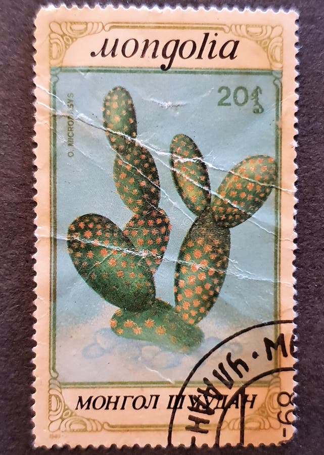 2,377 Mongolia Circa Stock Photos - Free & Royalty-Free Stock Photos ...