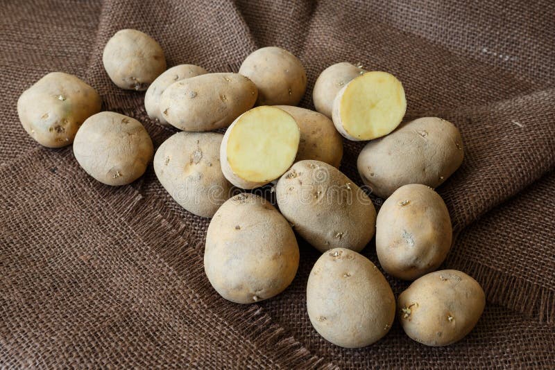 Old Potato with Young Sprouts Stock Image - Image of produce, food ...