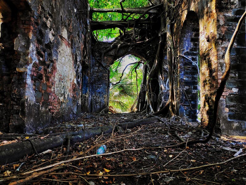 Old Presbyterian Church Ruins Ross Island, Port Blair. Stock Photo ... Old Presbyterian Church Ruins Ross Island, Port Blair. Stock Photo ...