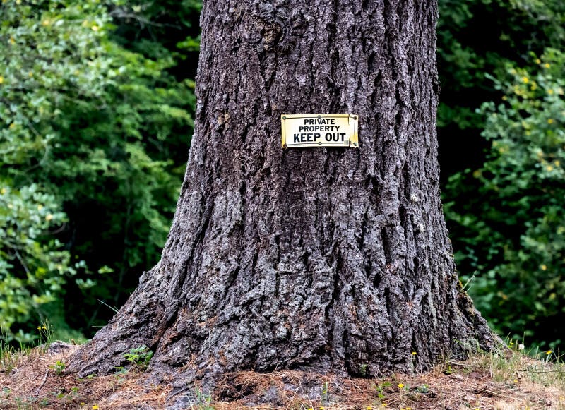 Old Private Property Keep Out Sign on Tree Trunk Stock Image - Image of ...