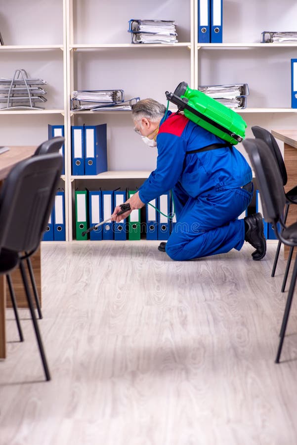 Old Professional Contractor Doing Pest Control in the Office Stock ...