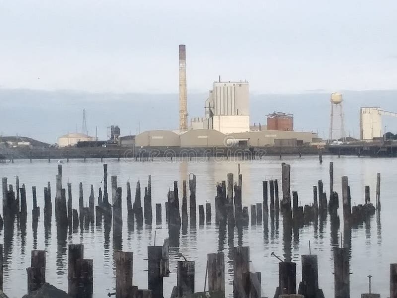 A Pulp Mill in Longview Washington Editorial Stock Photo - Image of ...