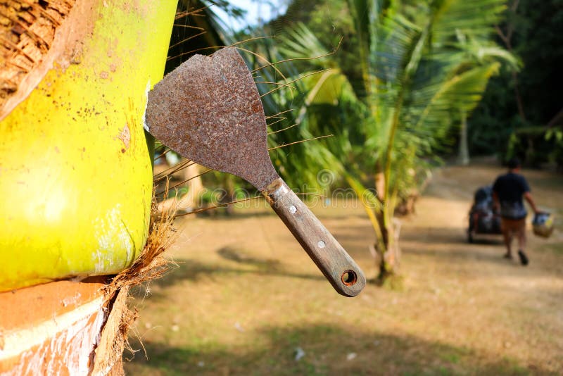 The Old Putty Trowel Stuck on a Tree. Stock Photo - Image of tool ...