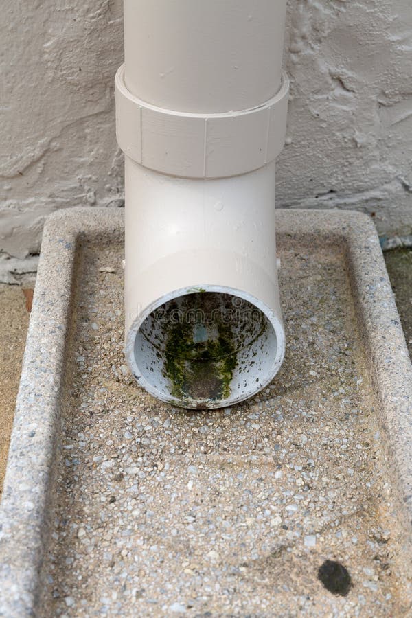 Old Pvc Drainpipe with Mold Growing Inside Stock Image - Image of round ...