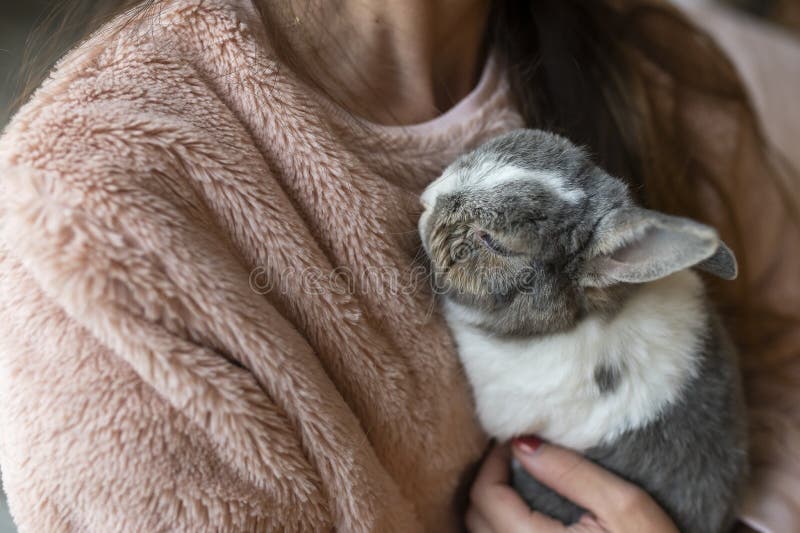Old Rabbit Cuddled Up in Arms Stock Image - Image of living, rabbit ...