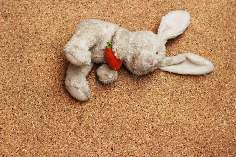 Old Rabbit Doll Drops on Brown Ground Stock Image - Image of animal ...